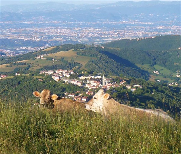 Conco Asiago Plateau Veneto - Italy Traveller Guide