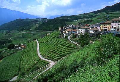 Giovo Pinè and Cembra Trentino Alto Adige - Italy Traveller Guide