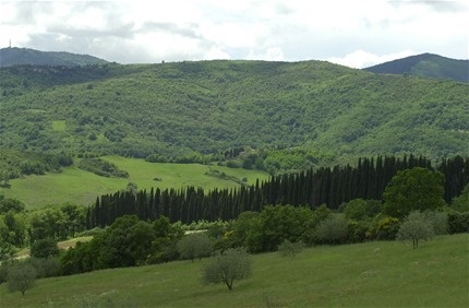 Mugello Tuscany - Italy Traveller Guide